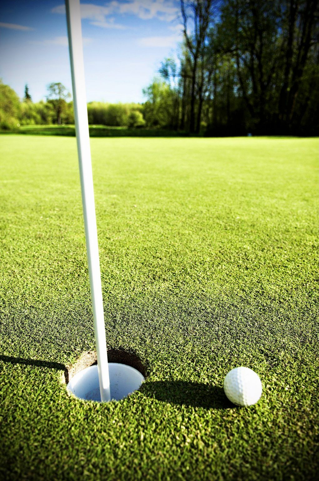 Camas Meadows - Premier Public Golf Course