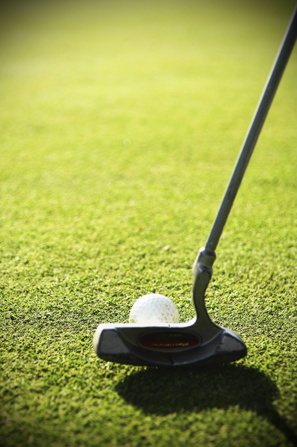 Camas Meadows - Premier Public Golf Course