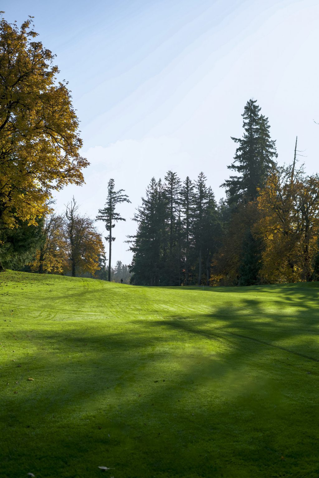 Camas Meadows - About Us