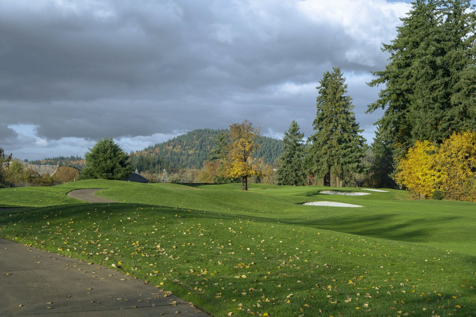 Camas Meadows - About Us